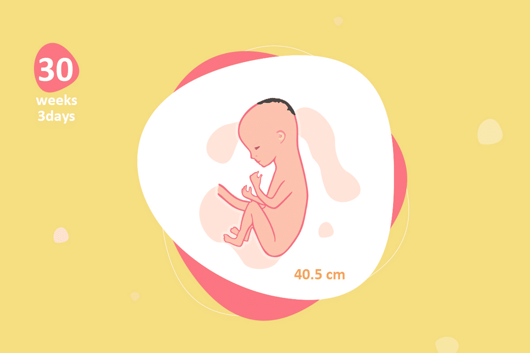 30 weeks and 3 days pregnant - Baby Fetal Progress, Ultrasound ...