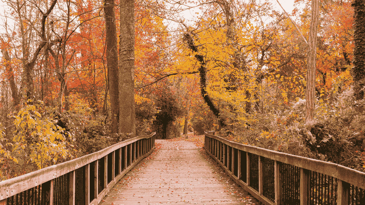 Small Steps, Big Impact: Simple Habits for a Better Life"