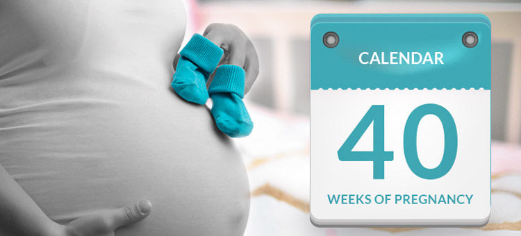 Pregnancy Calendar | Parentune.com